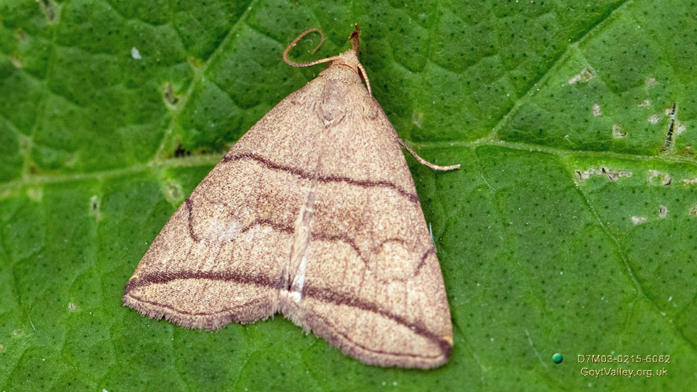 Goyt Valley and thereabouts